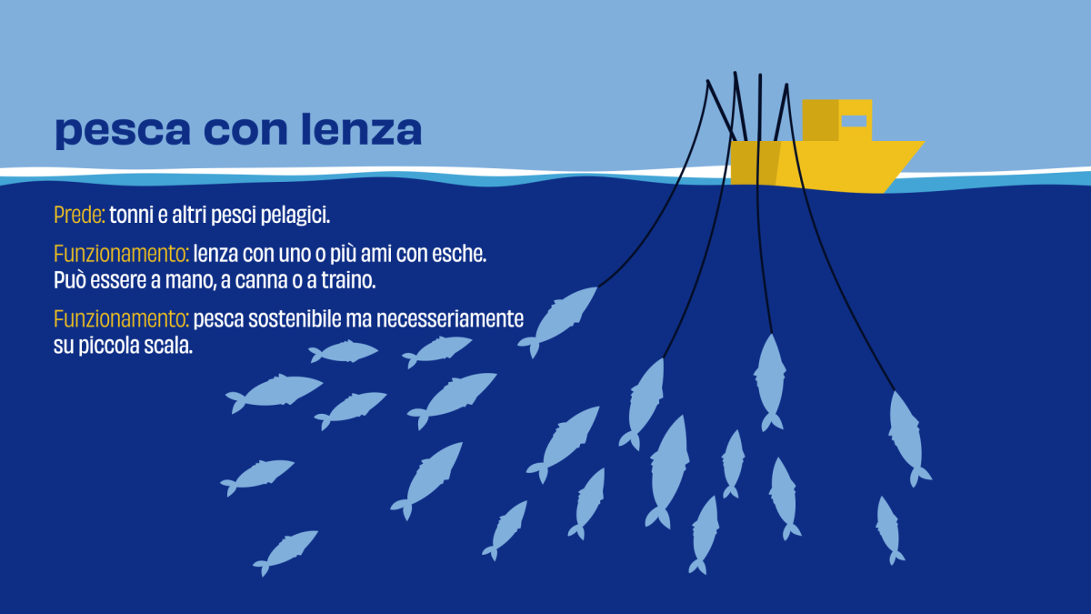 Le tecniche della pesca e i loro effetti sul mare - AroundTheBlue